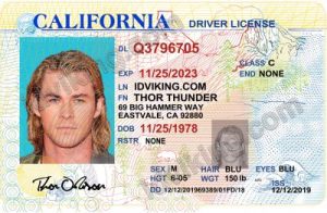 California OLD (CA) Drivers License- Scannable Fake ID - ID Viking