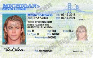 Michigan (MI) Drivers License- Scannable Fake ID - ID Viking