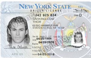 New York (NY) – Drivers License PSD Template Download - ID Viking