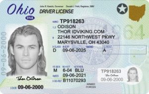 Ohio (OH) – Drivers License PSD Template Download - ID Viking