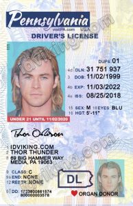 Pennsylvania U21 (PA) – Drivers License PSD Template Download - ID Viking