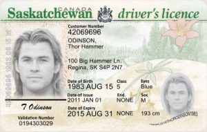 (SK) Saskatchewan Drivers License – Scannable Fake ID - ID Viking