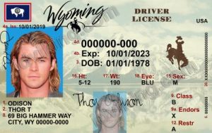 Wyoming (WY) – Drivers License PSD Template Download - ID Viking